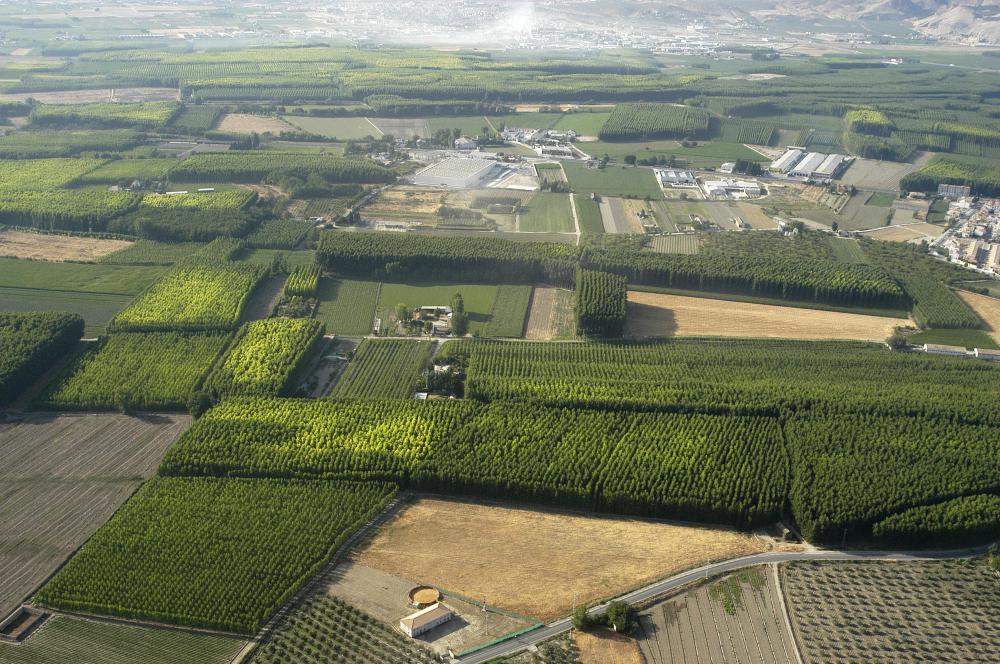 What is Aerial Photogrammetry? (with pictures)