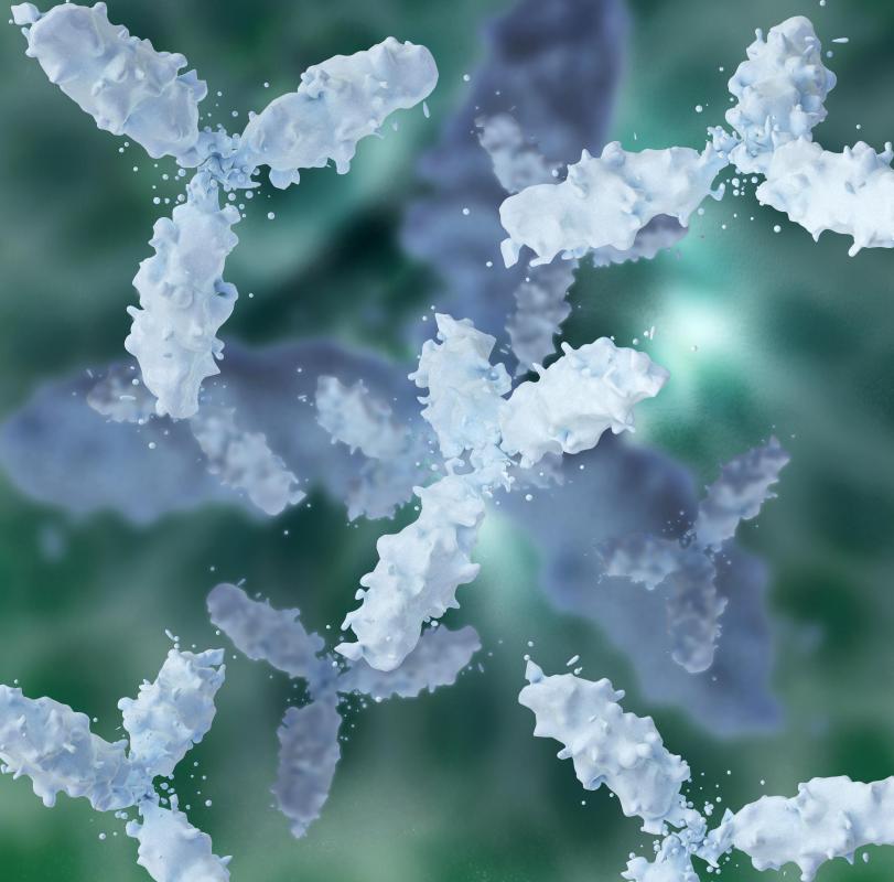 What are the Different Methods of Antibody Storage?