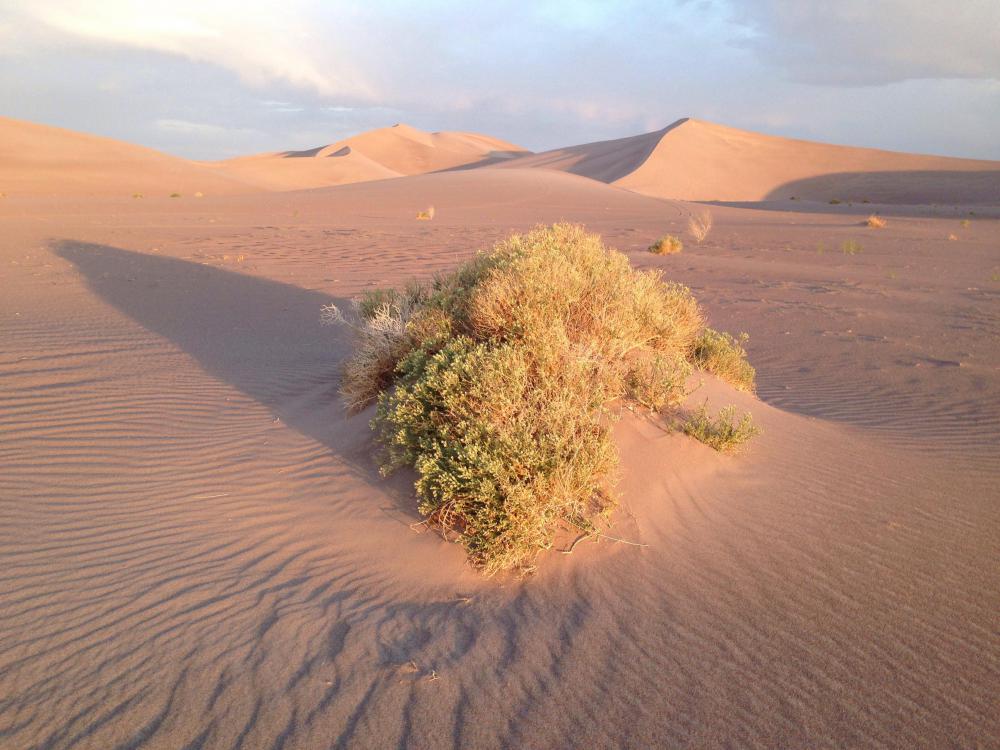 Where is the Driest Place on Earth? (with pictures)