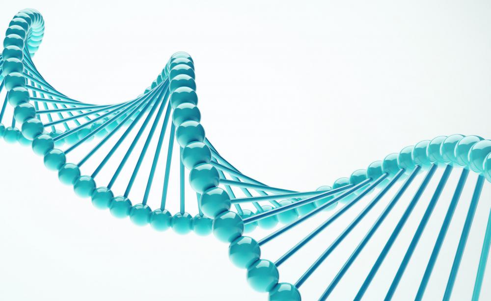 What is DNA Forensics? (with pictures)