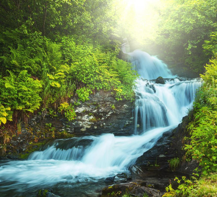 What Is Acid Neutralizing Capacity? (with pictures)