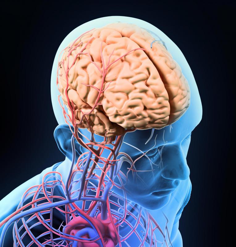 What Is a Squid Magnetometer? (with pictures)