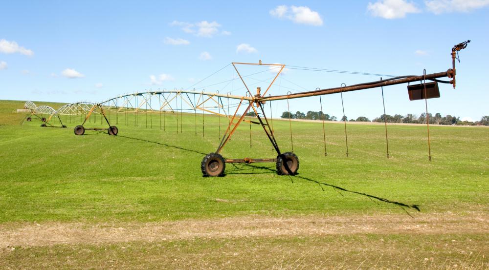 What is Agronomics? (with pictures)