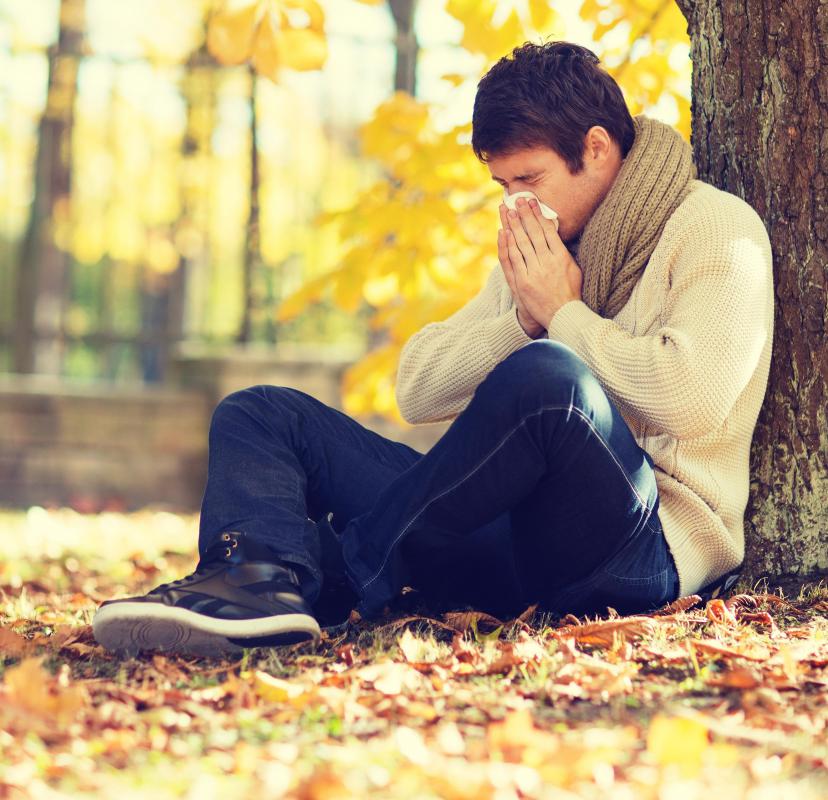 What are Mold Spores? (with pictures)