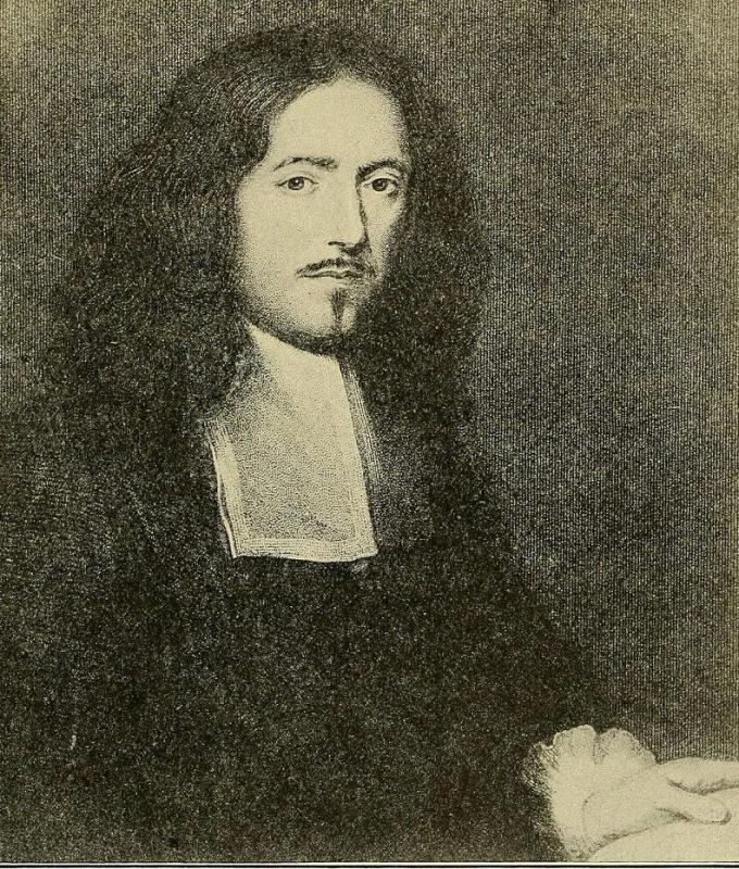 What is Histology? (with pictures)