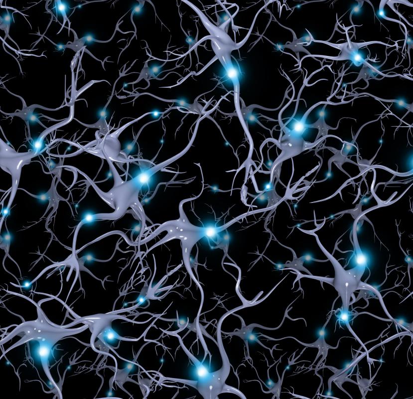 What is an Interneuron? (with pictures)