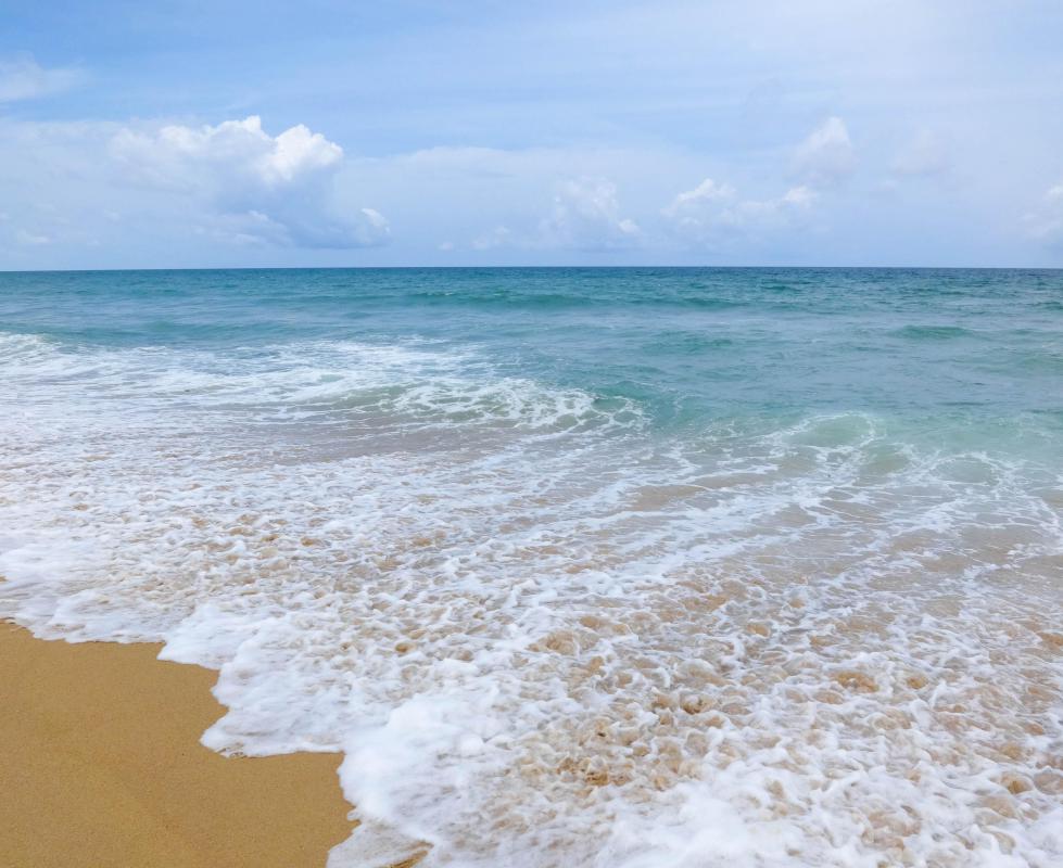 What is the Lithosphere? (with pictures)