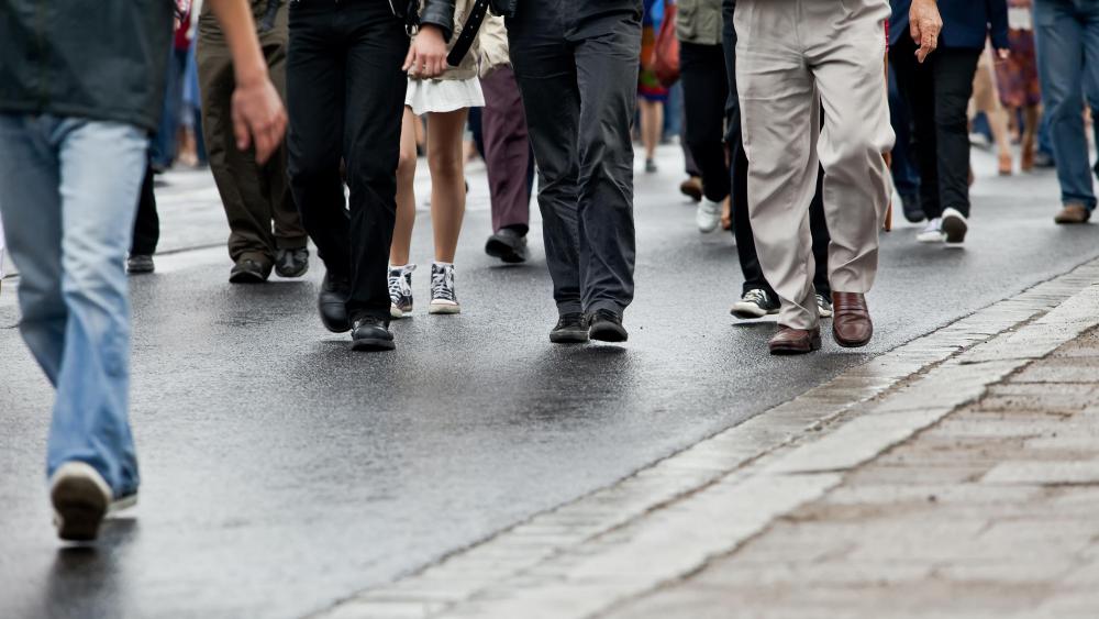 What is a Population Sampling? (with picture)