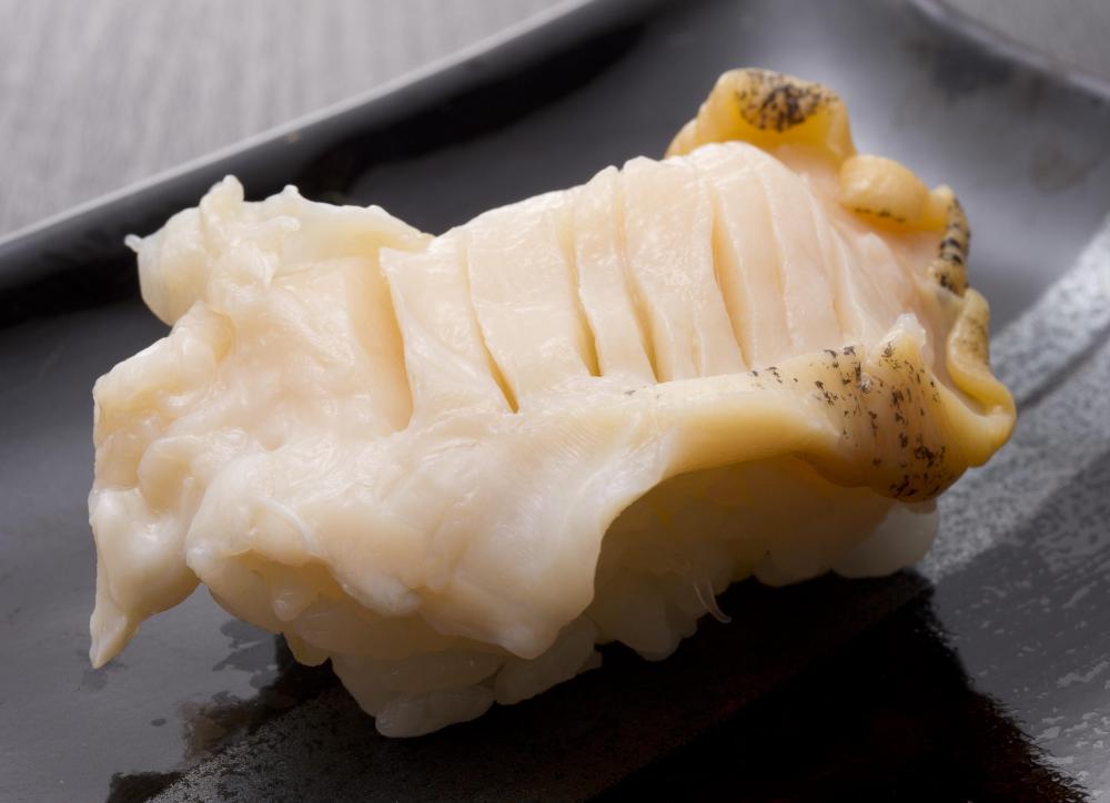 What are Mollusks? (with pictures)