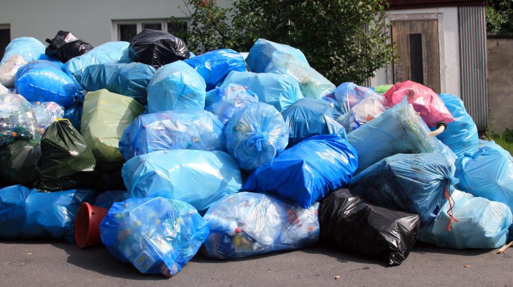 What are Larvae? (with pictures)