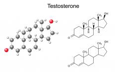 What Is Aromatization? (with pictures)
