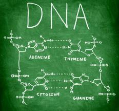 What is DNA? (with pictures)