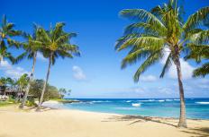 What is a Temperate Zone? (with pictures)