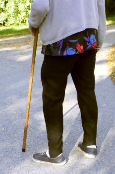 What are the Different Types of Adaptive Devices?