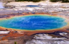 What are Methanogens? (with pictures)