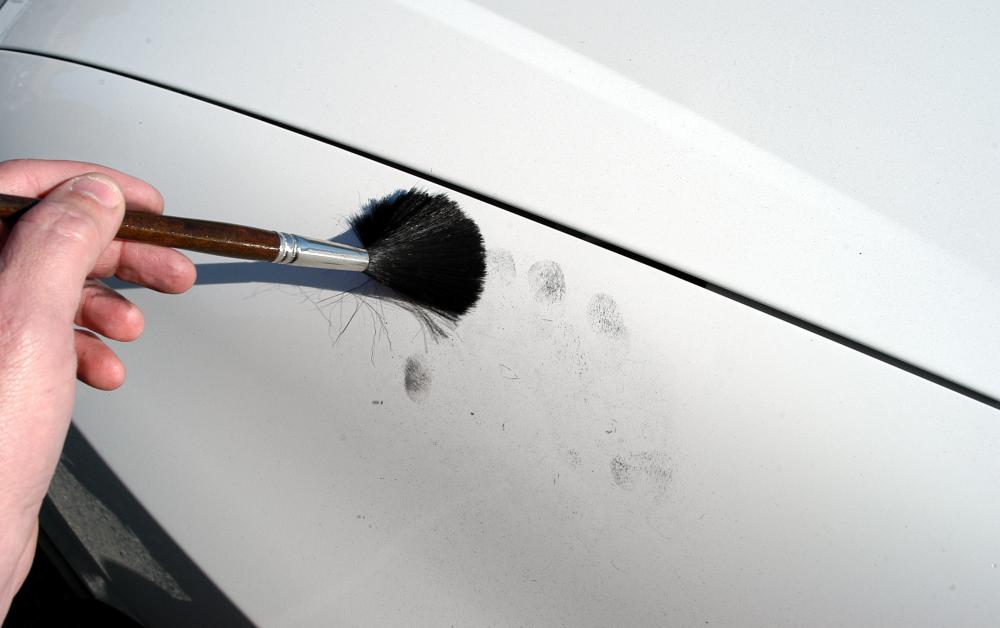 What Is Fingerprint Dusting with Pictures 