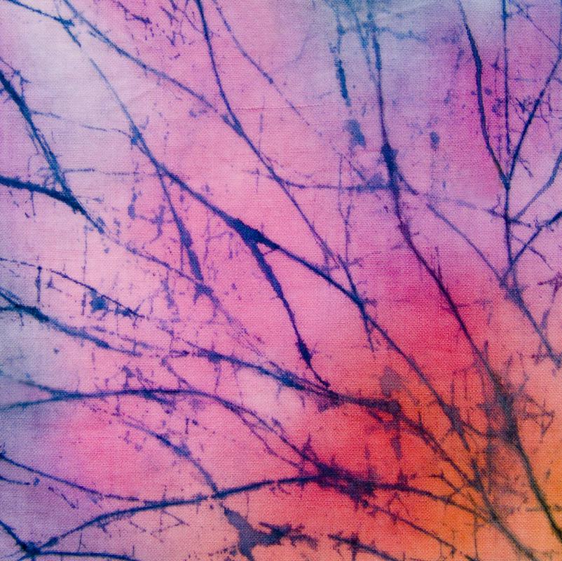 What is a Chromophore? (with pictures)