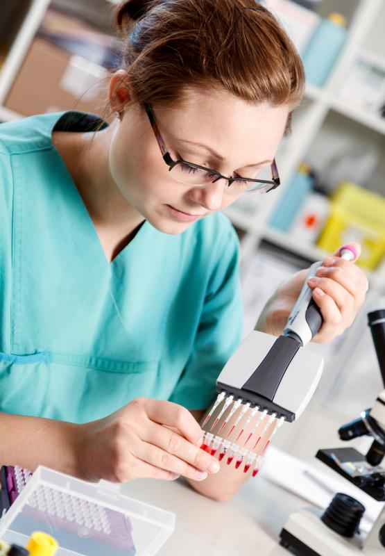 What is Genetic Diversity? (with pictures)