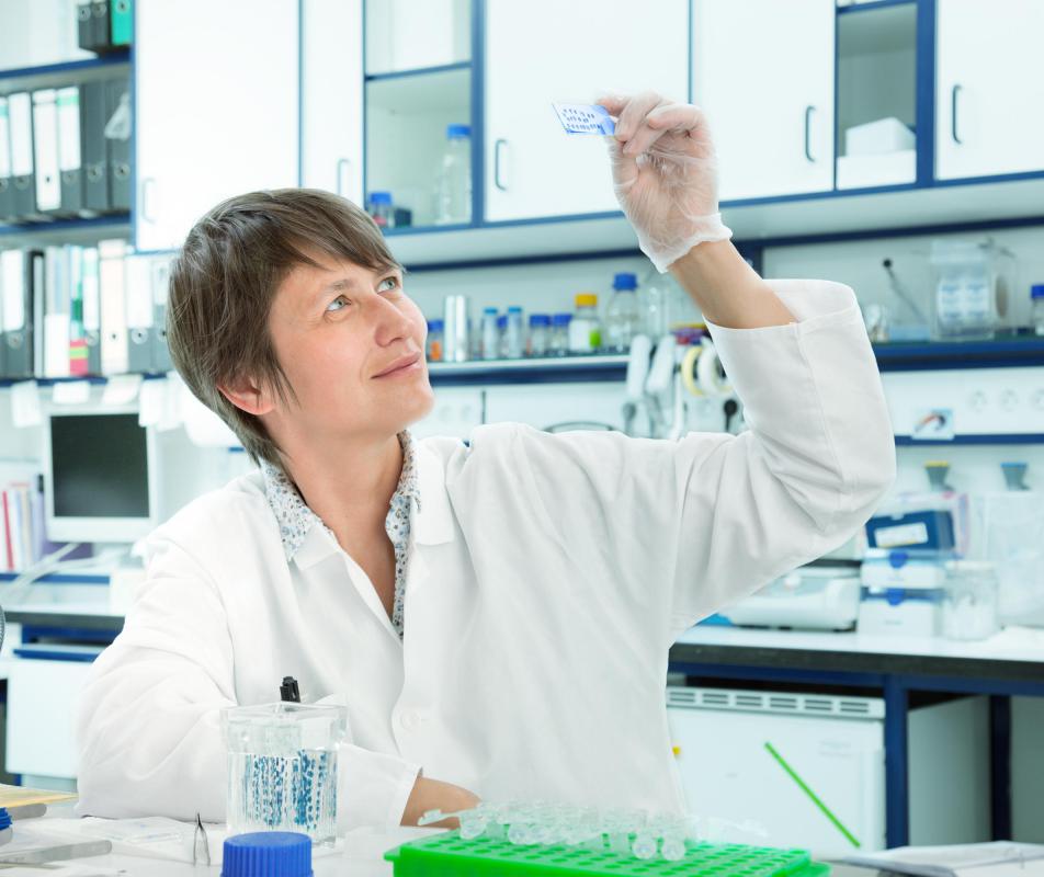 What Is a Bacterial Culture? (with pictures)